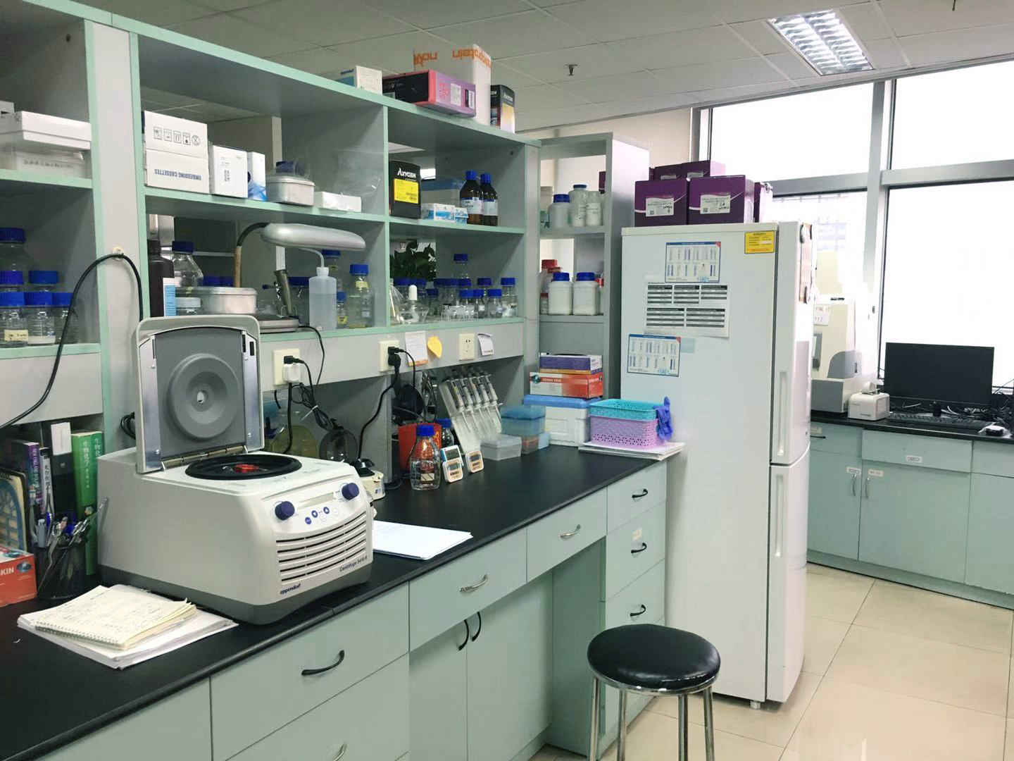 Welcome to Peng Wang Lab – Center for Excellence in Molecular Plant ...